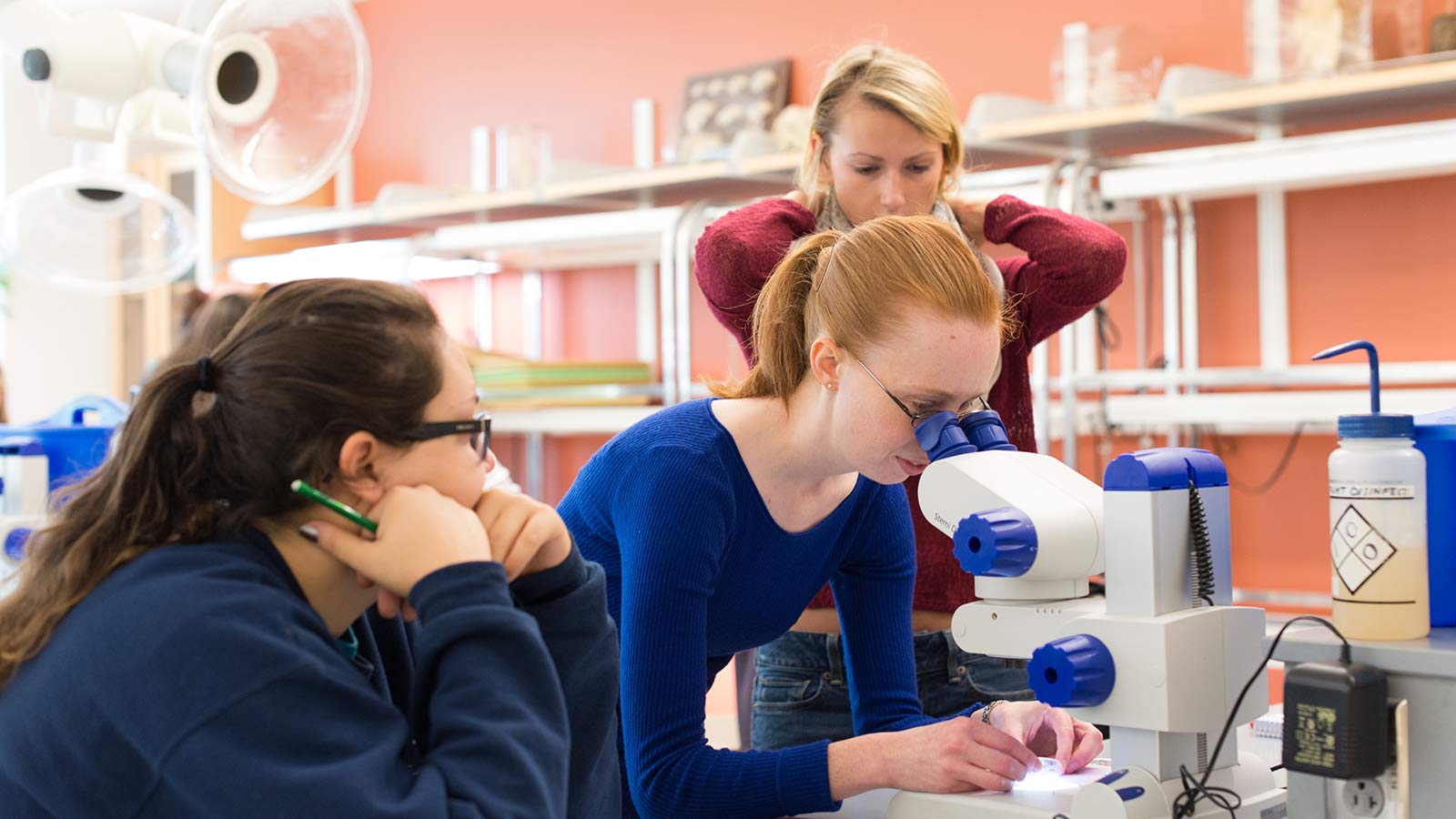 International Year progression degrees | James Madison University ISC