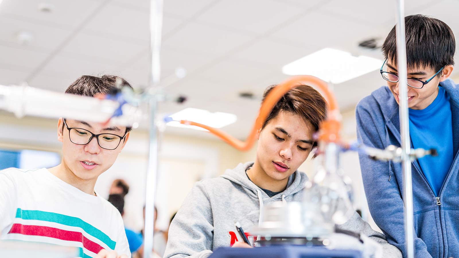 Animal and plant sciences | USIC