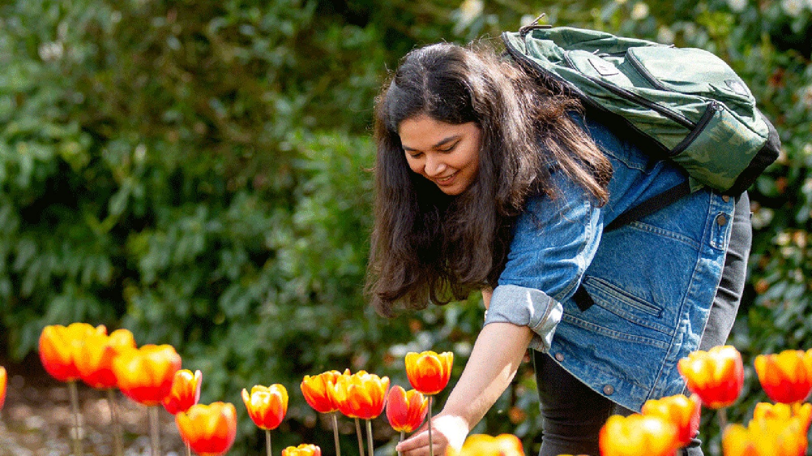 Pre-courses | Programmes