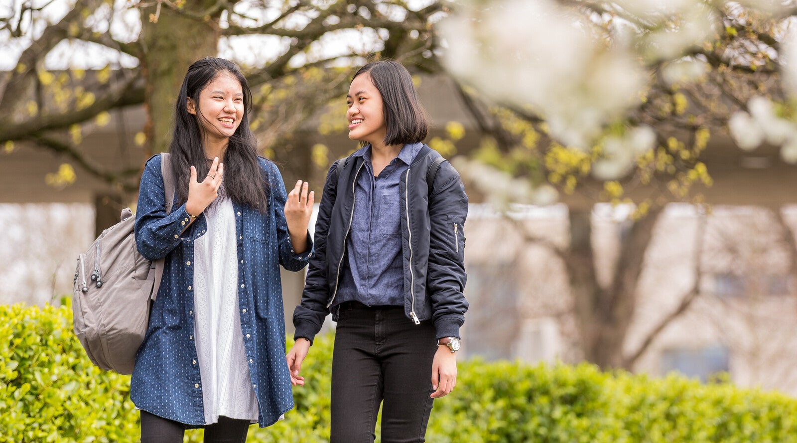 Undergraduate pathway programmes | Dublin ISC