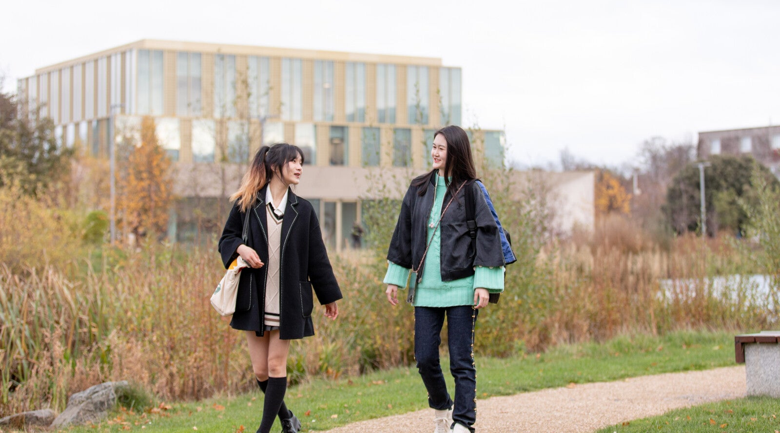 Life in Ireland: Comprehensive Guide for International Students ...