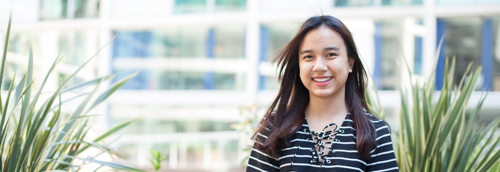 University of Sheffield International College: Study in the UK