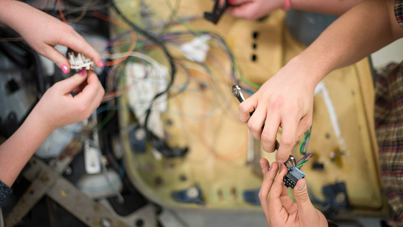 International Year progression degrees | James Madison University ISC