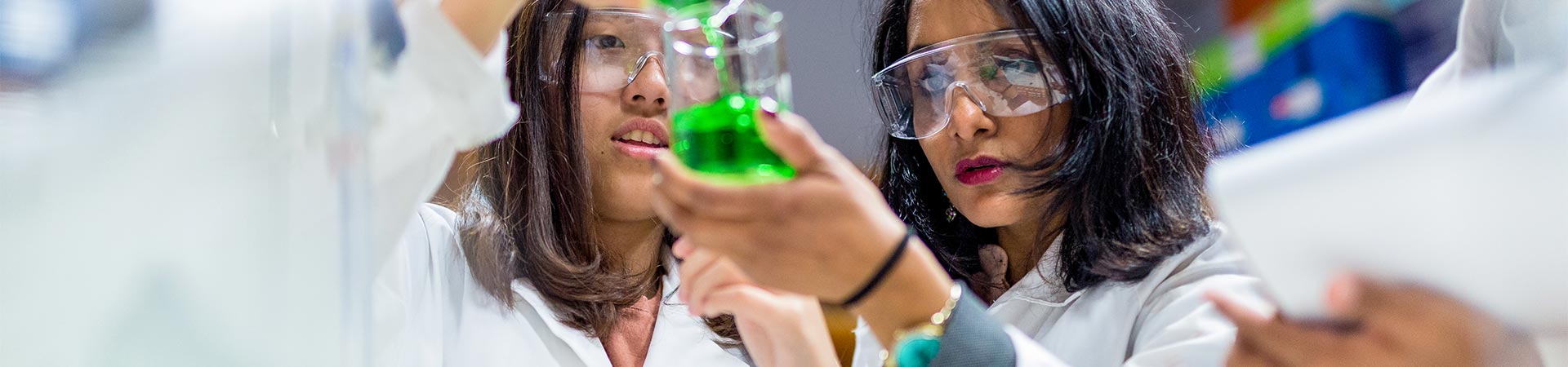 Programs | Taylors College Sydney, Australia