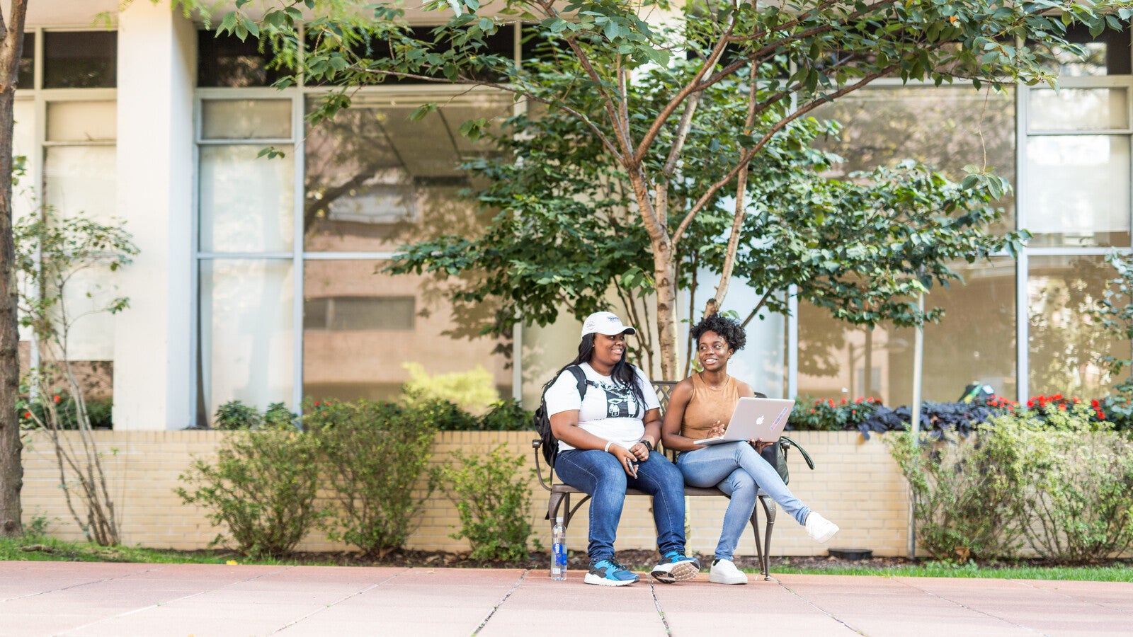 Entry requirements | Long Island University