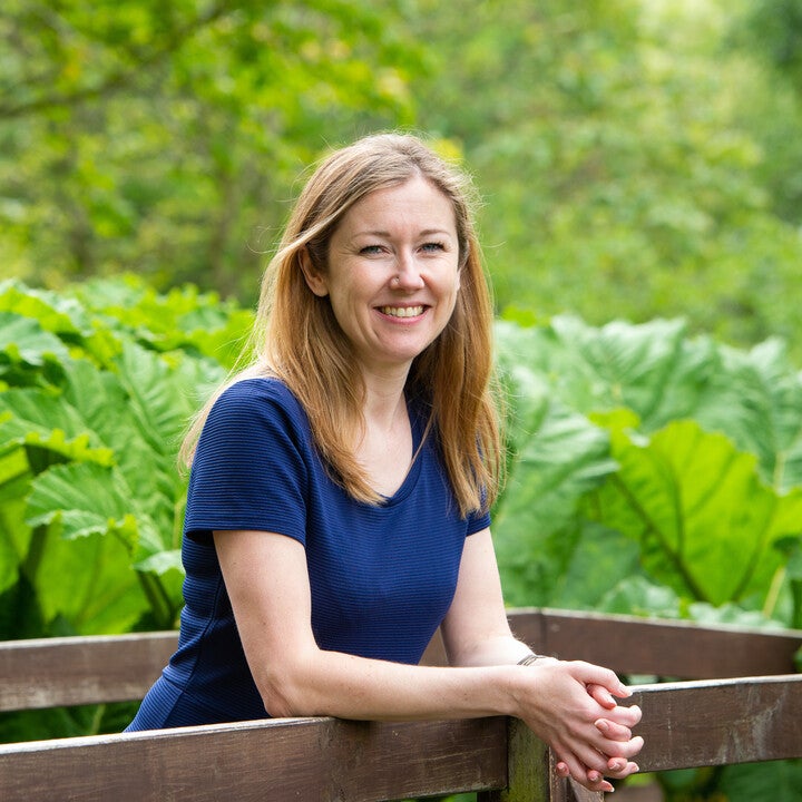 Your next steps to arrival | University of Surrey International Study ...