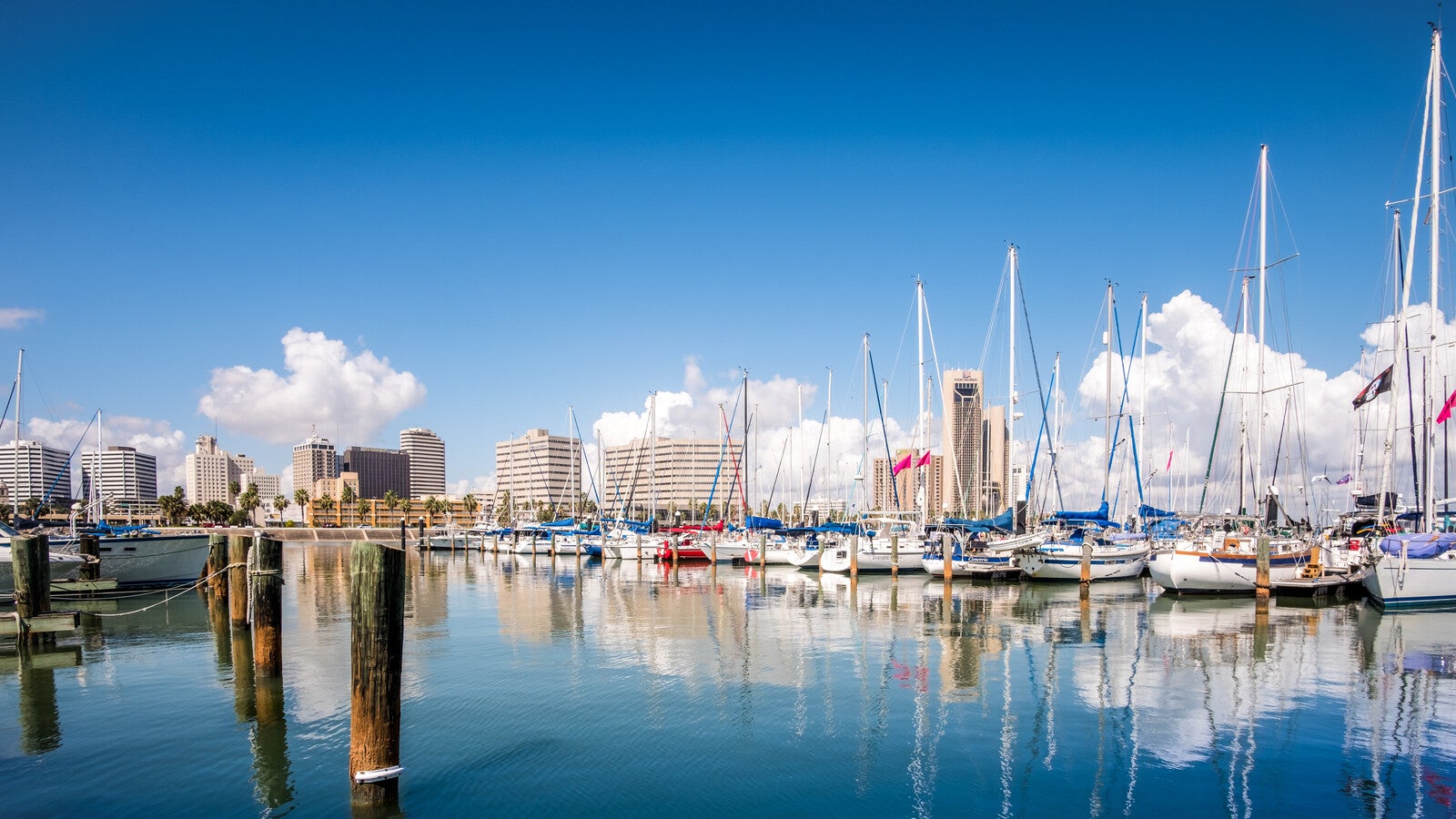 Top 4 Things to Do in Corpus Christi