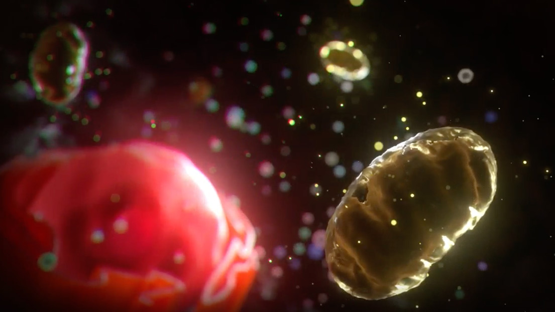 Infrared Sauna for Longevity | Sunlighten