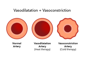 What Is Contrast Therapy? The Benefits of Hot and Cold Exposure ...