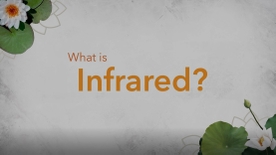What is Infrared Light | Sunlighten