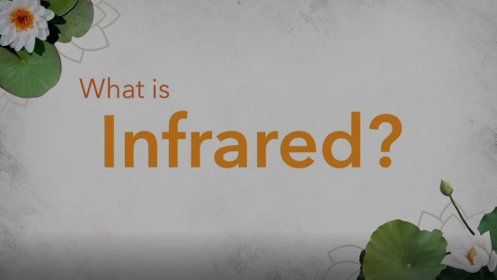 We help you “see” infrared in this video.