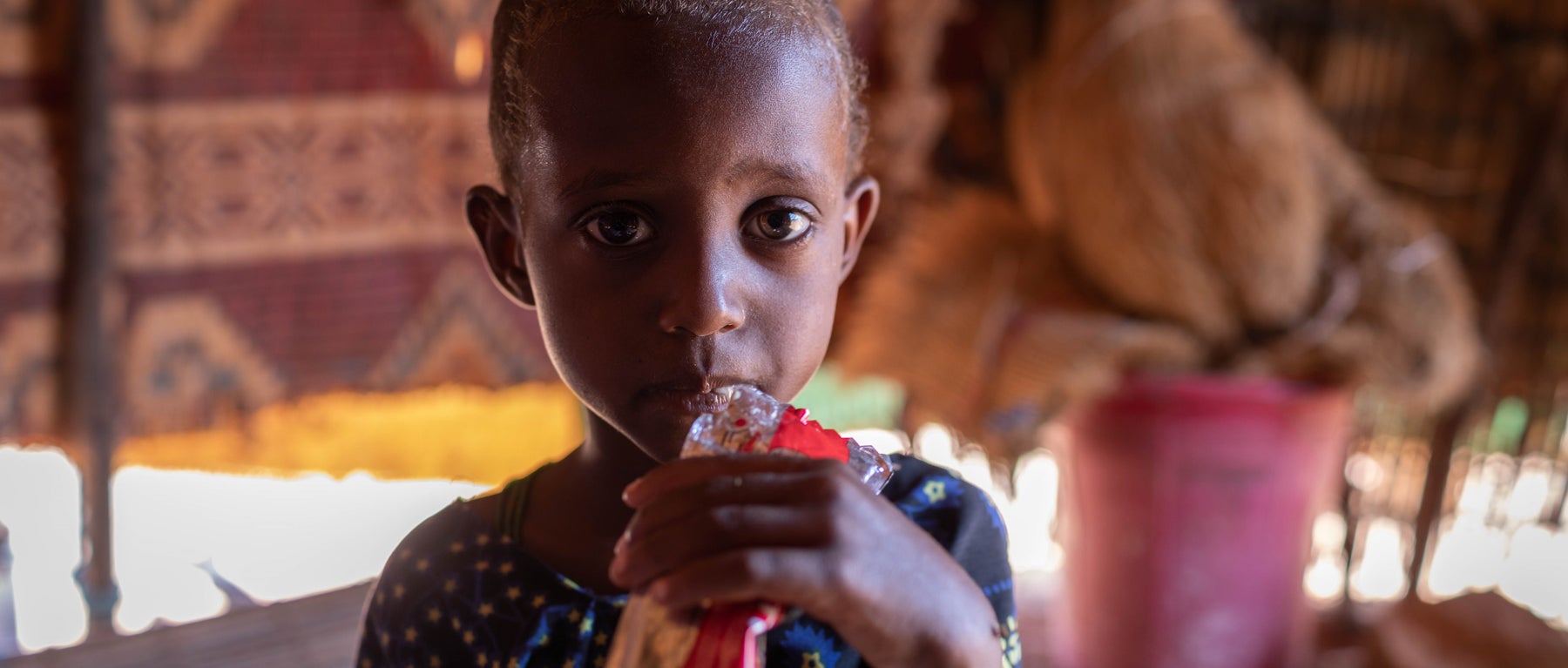 Four things you need to know about the looming famine.