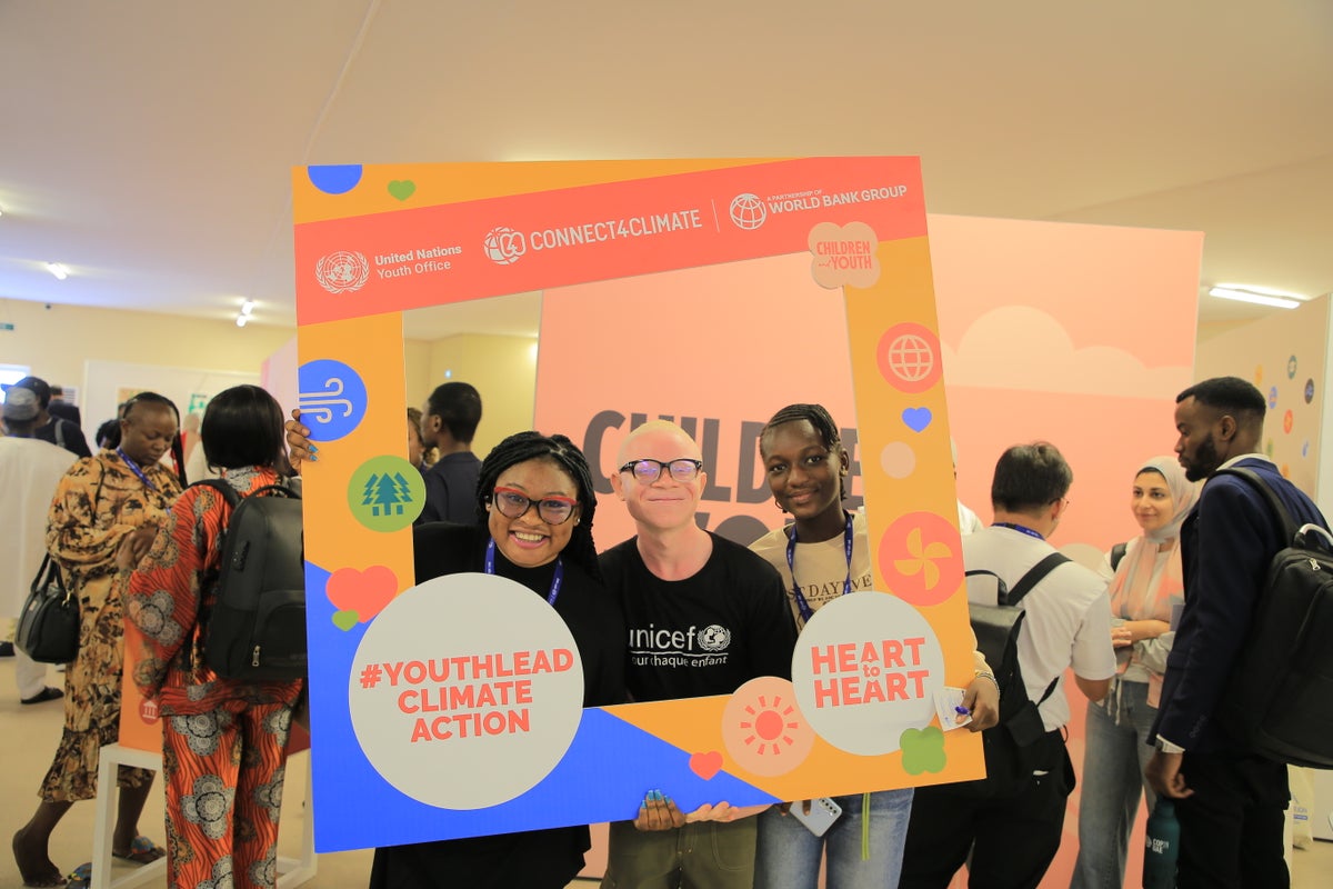 What really happens at COP?