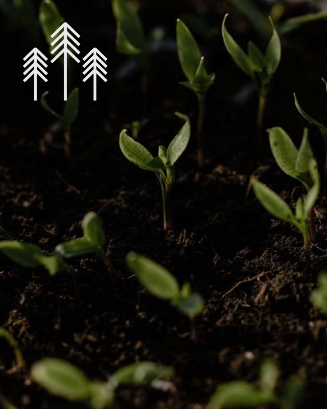 Applied Carbon Profile Page | XPRIZE Foundation