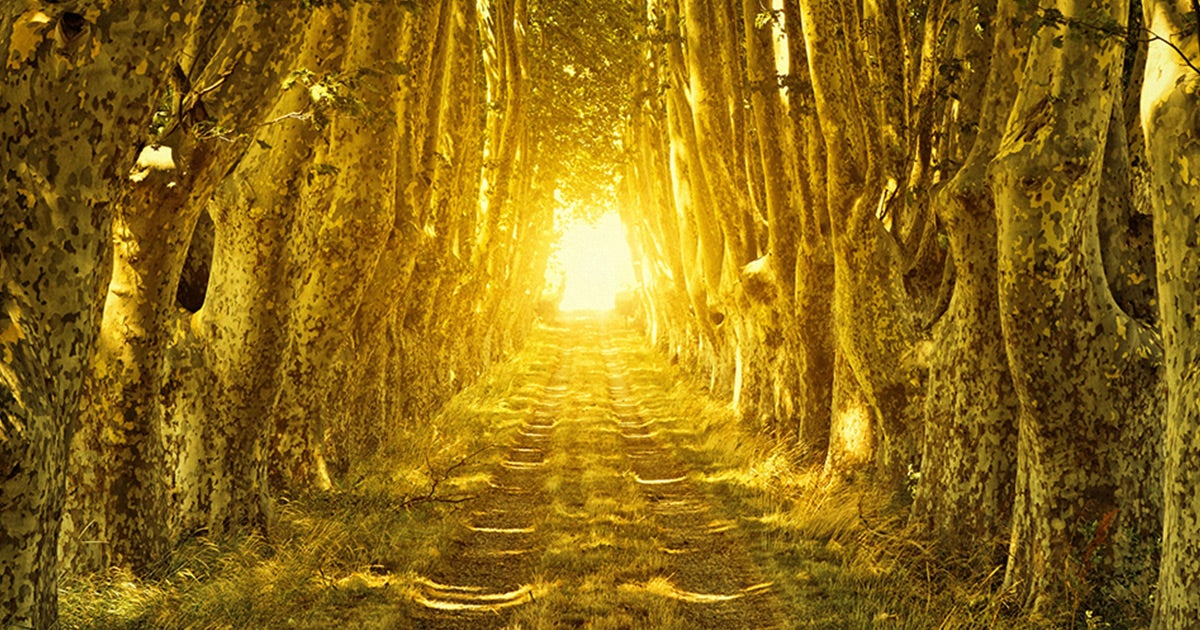 The Path Forward | First Command