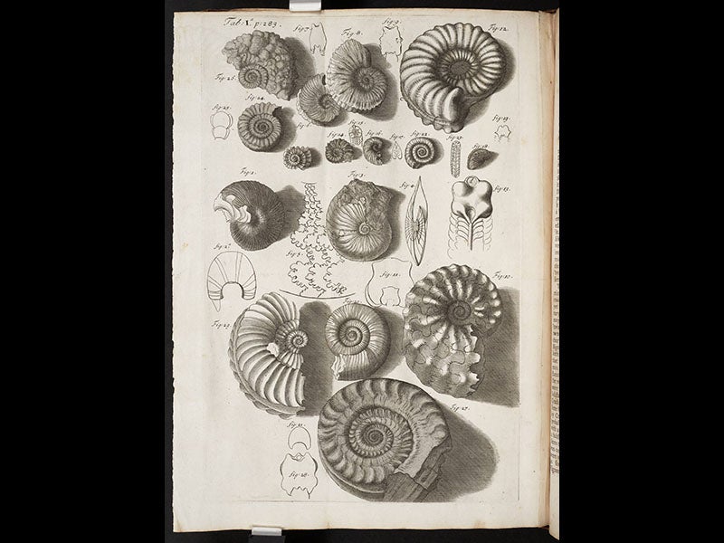 Robert Hooke - Linda Hall Library