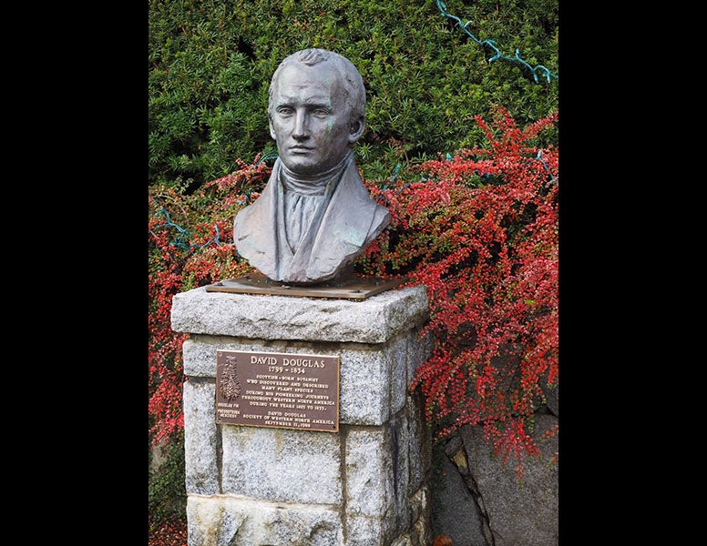 David Douglas - Linda Hall Library