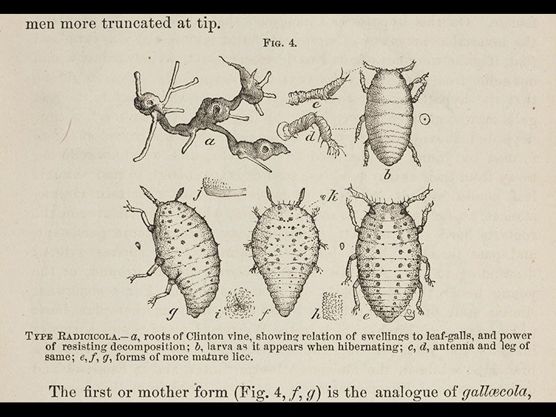 Charles V. Riley - Linda Hall Library