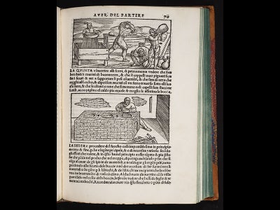 Vannoccio Biringuccio - Linda Hall Library