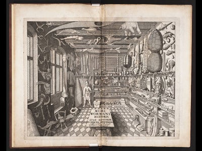 Ole Worm - Linda Hall Library