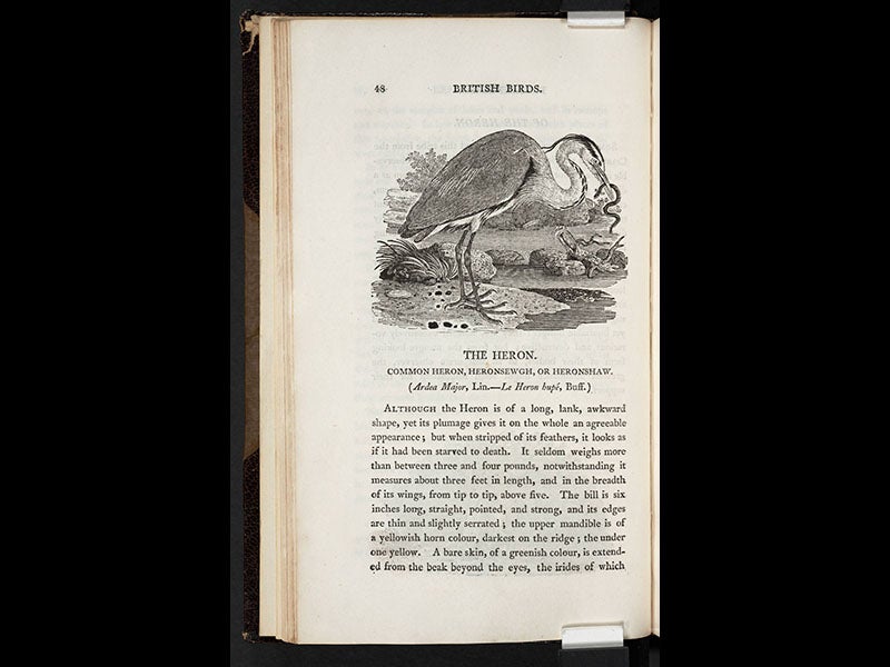 Thomas Bewick - Linda Hall Library