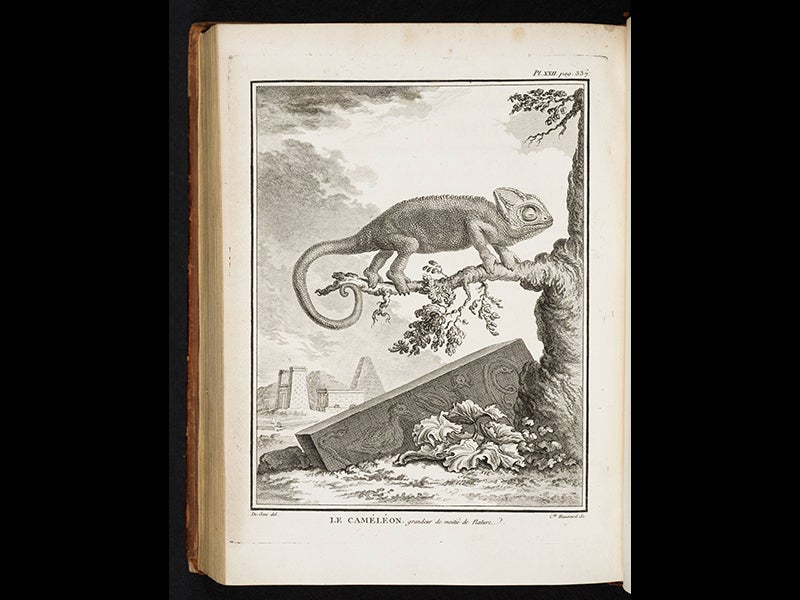 Georges-Louis Leclerc, comte de Buffon - Linda Hall Library