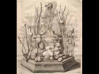 Frederik Ruysch - Linda Hall Library