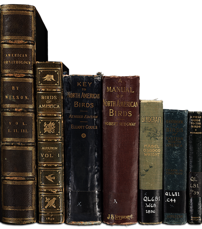 06. Modern Field Guides - Linda Hall Library