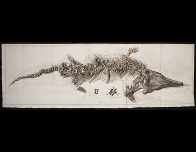 William Clift - Linda Hall Library