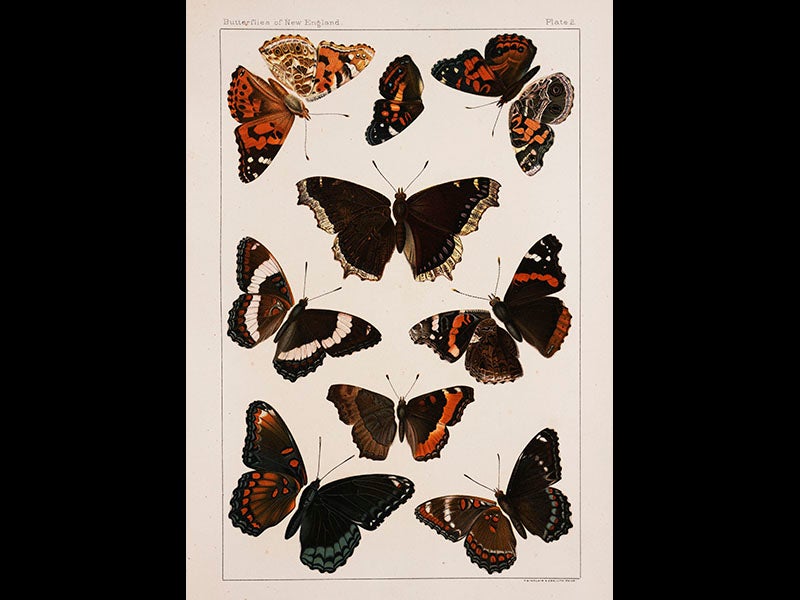 Samuel Hubbard Scudder - Linda Hall Library