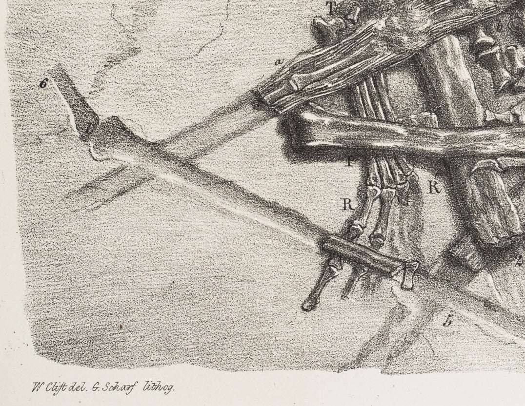 William Clift - Linda Hall Library