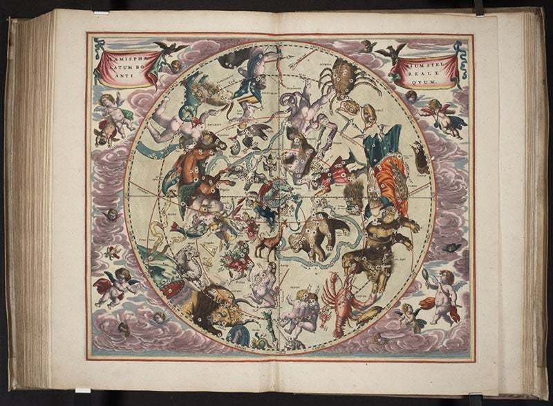 Andreas Cellarius - Linda Hall Library