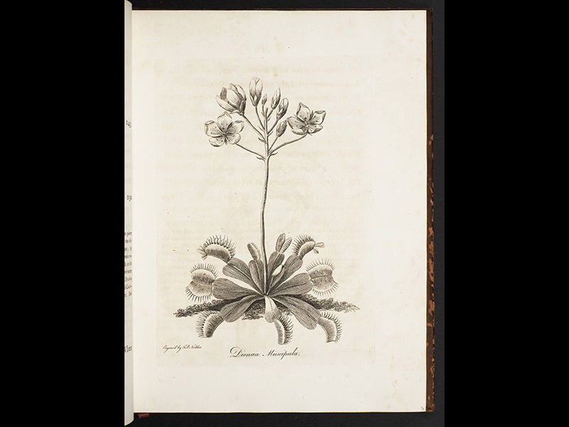 Erasmus Darwin - Linda Hall Library