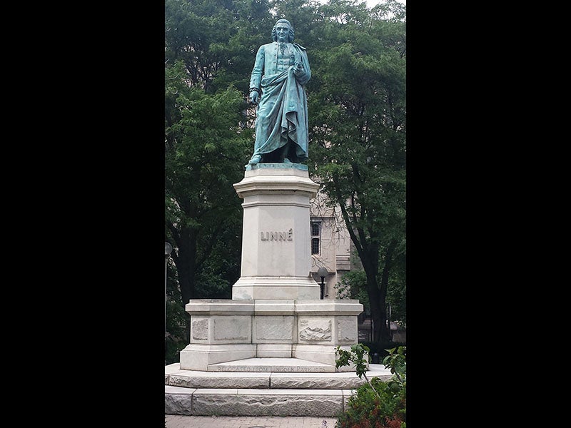 Carl Linnaeus - Linda Hall Library