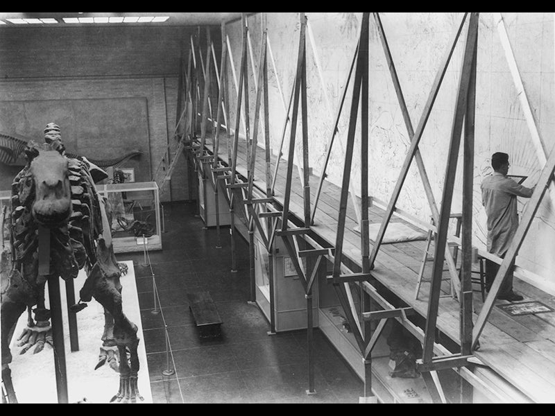 Rudolph Zallinger - Linda Hall Library