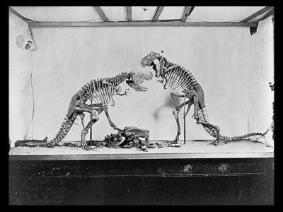 Erwin Christman - Linda Hall Library