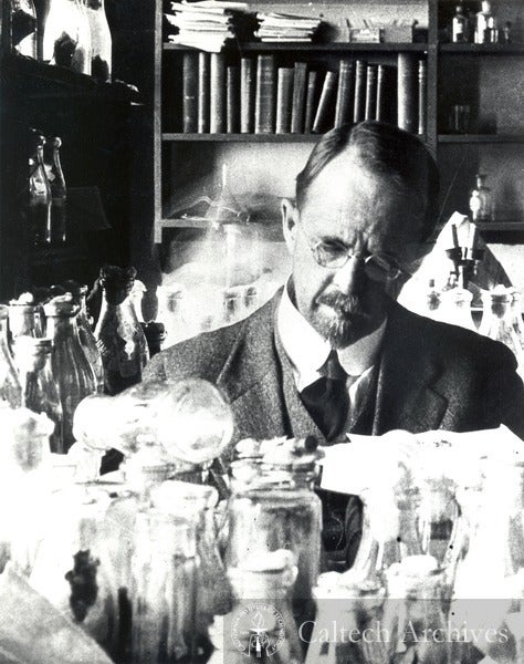 Thomas Hunt Morgan Fruit Fly Experiment