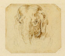 Hansken the Elephant - Linda Hall Library