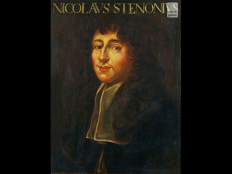 Nicolaus Steno - Linda Hall Library