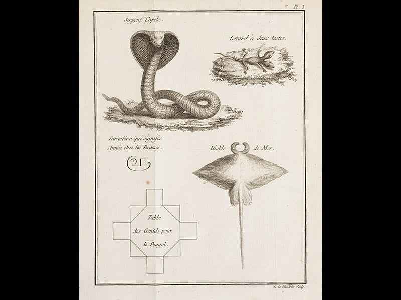 Guillaume-Joseph Le Gentil - Linda Hall Library