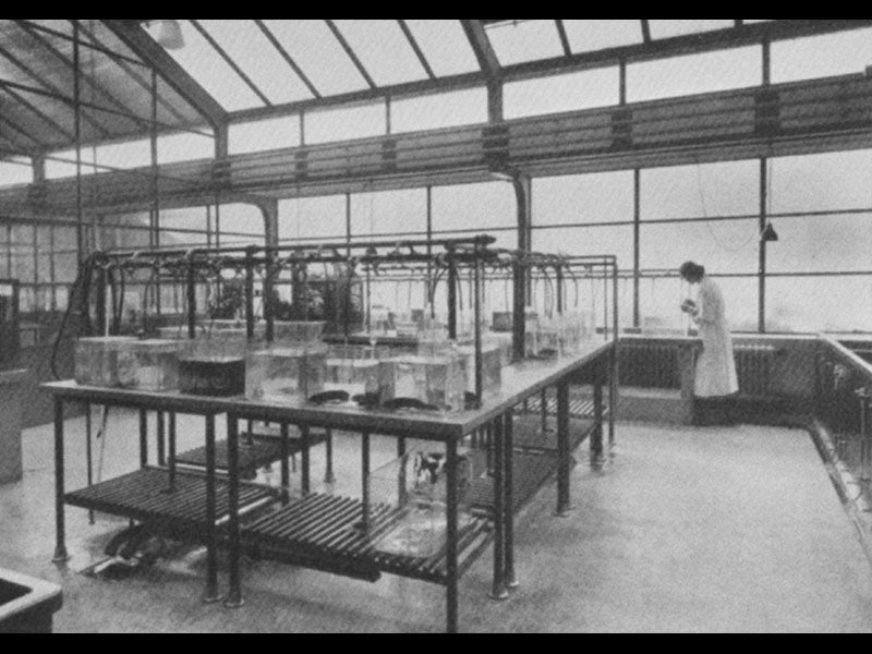 Karl von Frisch - Linda Hall Library