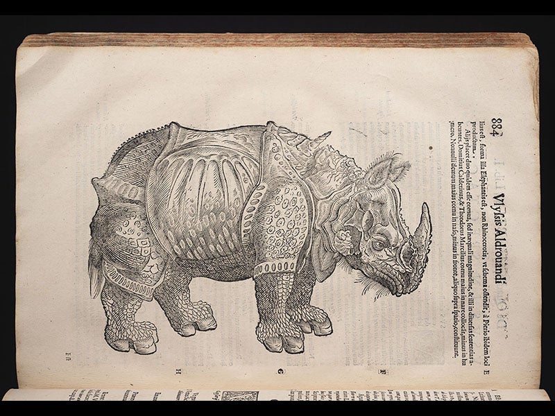 Albrecht Dürer - Linda Hall Library