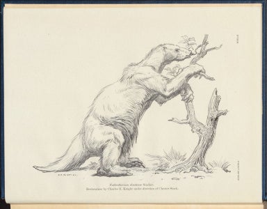 Chester Stock - Linda Hall Library