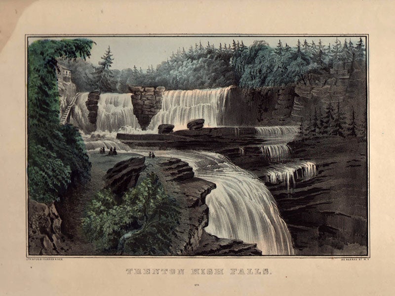 James Ellsworth De Kay - Linda Hall Library