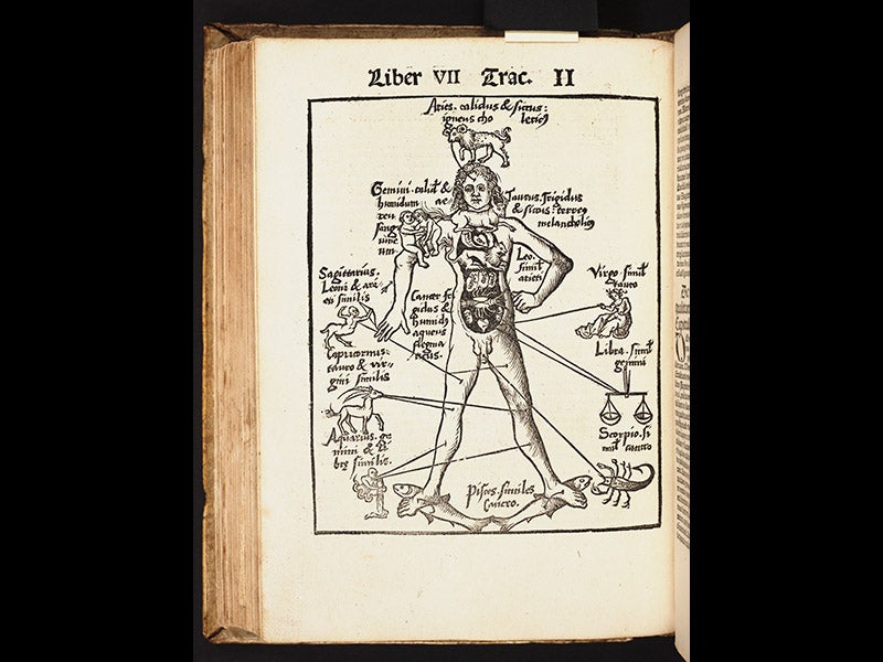 Gregor Reisch - Linda Hall Library