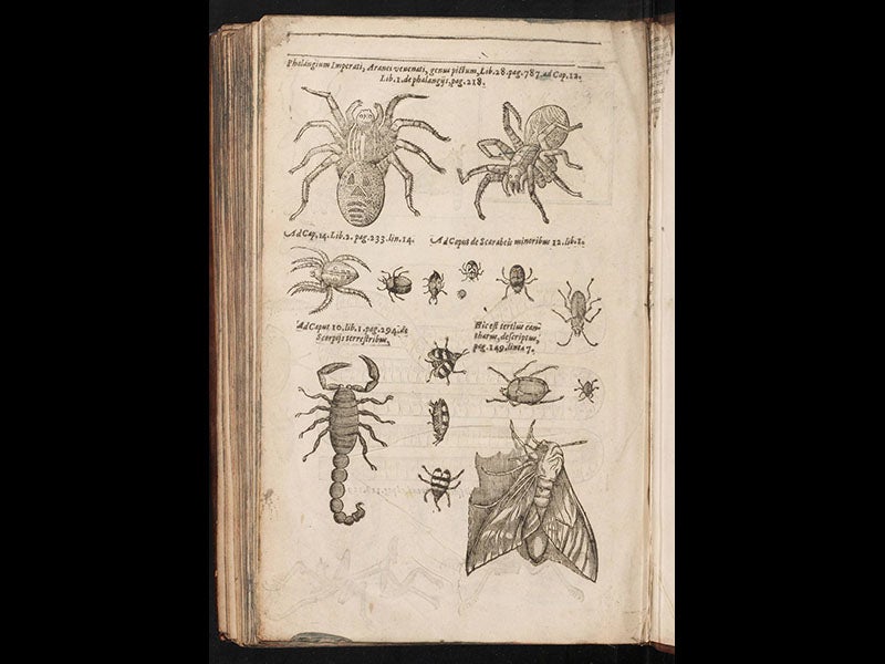 Thomas Moffett - Linda Hall Library