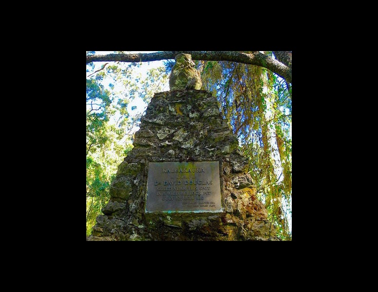 David Douglas - Linda Hall Library