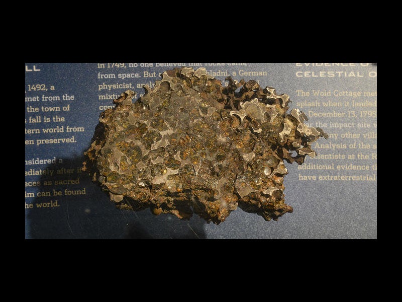 Peter Simon Pallas - Linda Hall Library