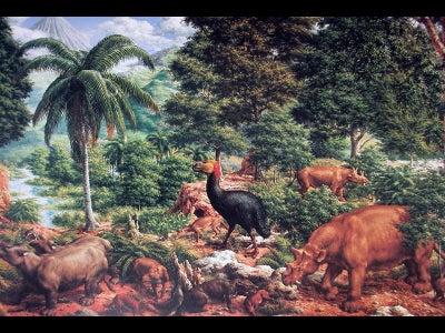 Edward Drinker Cope - Linda Hall Library