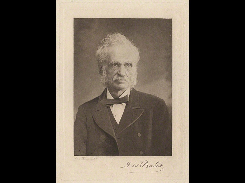 Henry Walter Bates - Linda Hall Library
